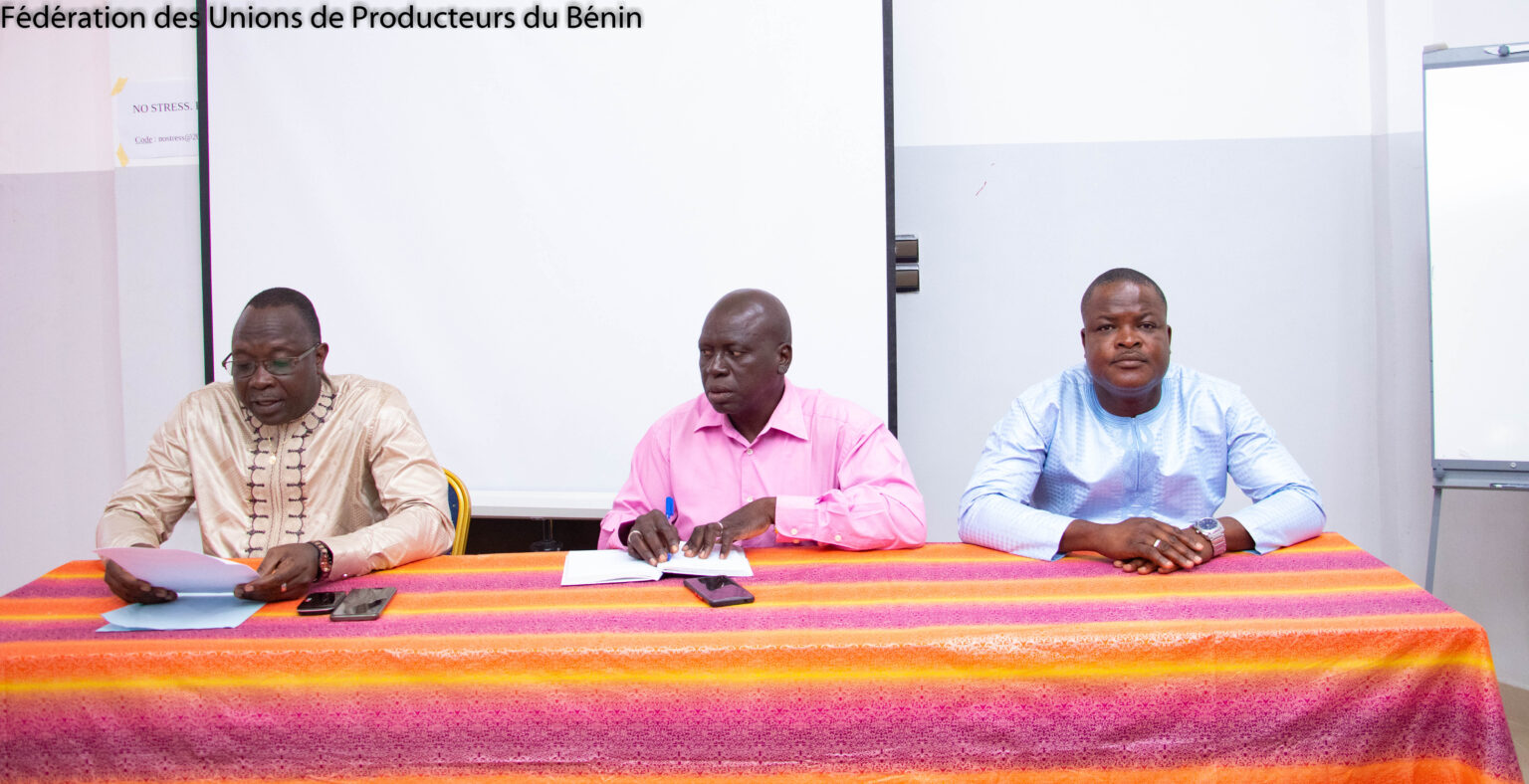Partenariat FUPRO-BENIN /PADAAM : les outils et méthodes du Conseil à l ...
